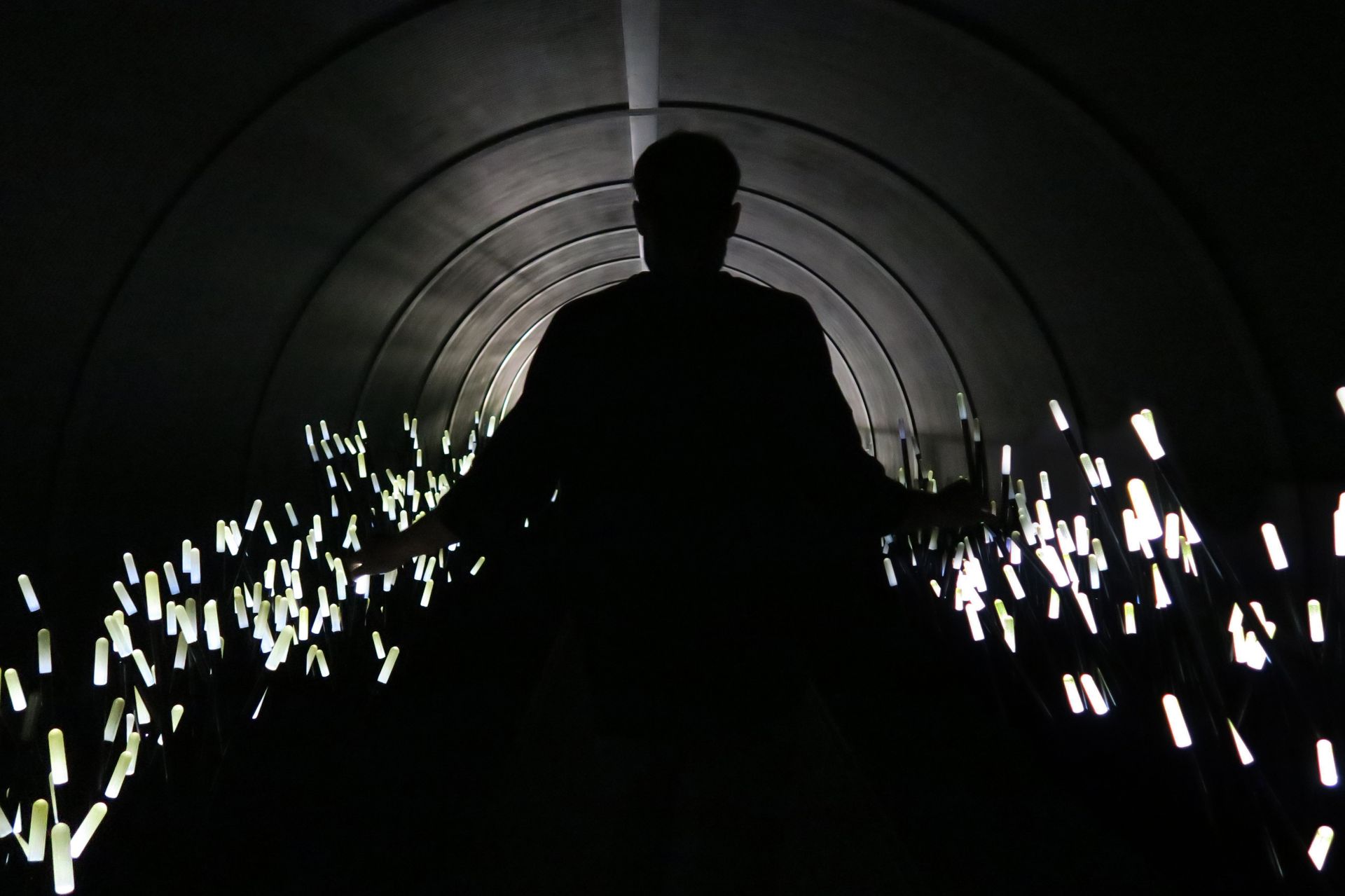 ENDLESS LIFE, kunst en wetenschap over het oneindige leven ...